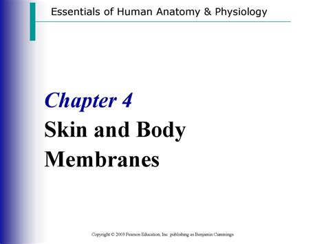 16 Skin And Body Membranes Chapter 4 MirianCissy