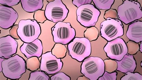 Single Cell Barcoding Another Way To Understand The Behaviour Of A