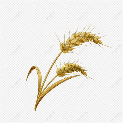 밀 Png 일러스트 무료 다운로드 Lovepik