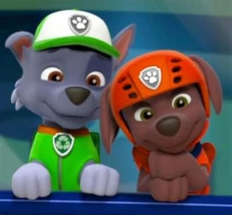Paw Patrol Rocky Zuma Paw Patrol Paw Patrol Pups Kung Fu Panda