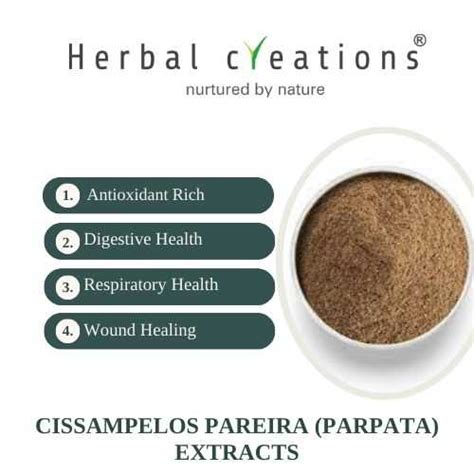 Cissampelos Pareira Extracts Your Trusted Botanical Extracts Supplier