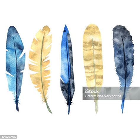 수채화 새 깃털 세트입니다 파란색과 베이지 색의 깃털 컴포지션 및 패턴을 만들기 위한 격리된 그림입니다 수채화에 대한 스톡 벡터 아트 및 기타 이미지 Istock