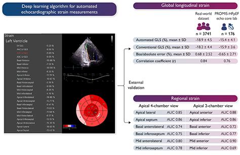 Ai Echo For Strain Imaging Us2ai
