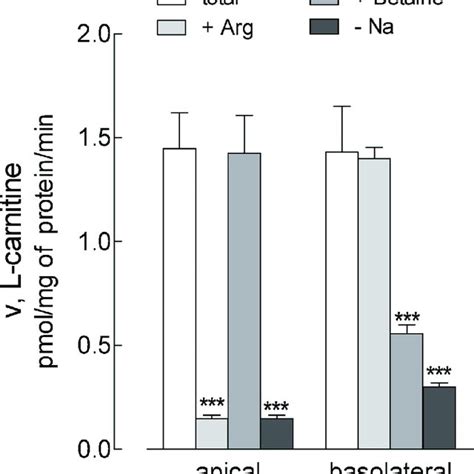Characterization Of Carnitine Uptake In Epiairway™ Monolayers Of