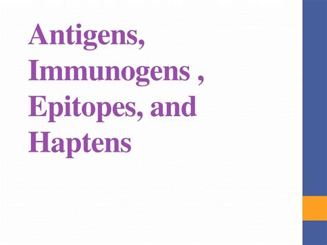Ppt Antigens Immunogens Epitopes And Haptens Powerpoint