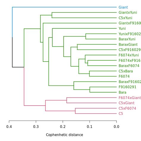 dendrogram of 21 chili genotypes download scientific diagram