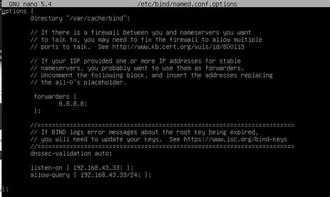 How To Configure DNS Server BIND In Debian