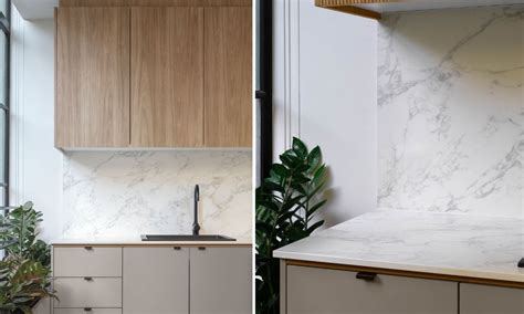 Discover The Possibilities Of Polytecs Xenolith Blog Polytec