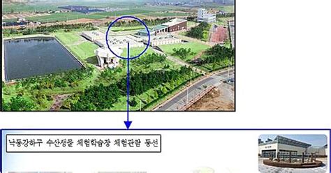 수산자원연 낙동강하구 수산생물 체험학습장 개방
