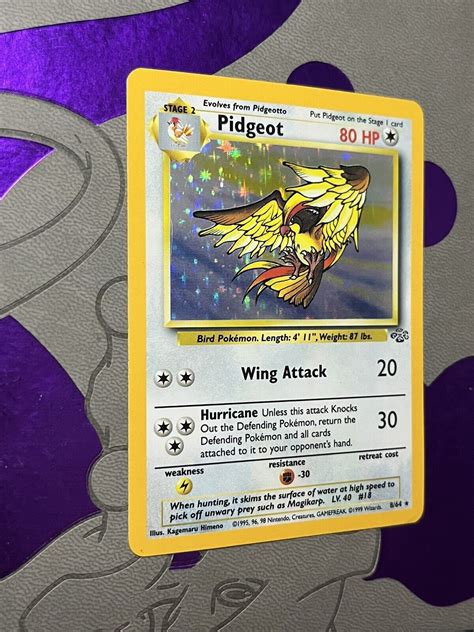 Mavin Pokémon TCG Pidgeot Jungle 8 64 Holo Unlimited Holo Rare