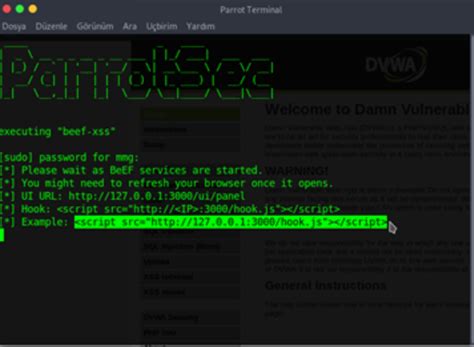 What Is Cross Site Scripting Xss Vulnerability Systemconf