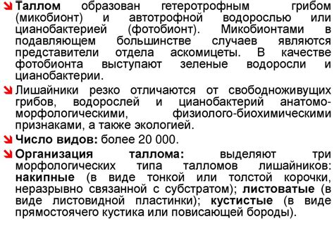 Отдел Аскомицеты - презентация онлайн