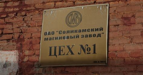 Соликамский магниевый завод за 2023 год не будет платить дивиденды Новости Mail