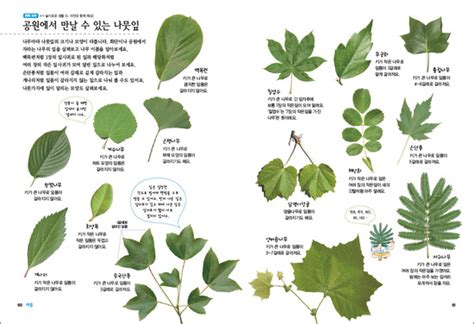 신간 봄 여름 가을 겨울 식물도감 출간 네이버 블로그