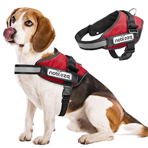 Top 10 Best Easy On Dog Harness Reviews And Buying Guide Katynel