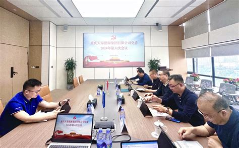 集团公司召开2024年第六次党委会 重庆天泰能源集团有限公司【官网】