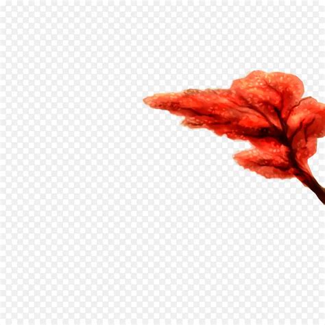 Png Png
