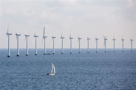 95 Of Denmarks Electricity Was From Wind Energy On Sunday