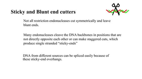 Restriction Fragment Length Polymorphism Rflp Pptx