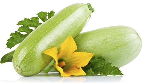 Tikvice Omiljeno Povrće Punjene Tikvice Čorba Od Tikvica