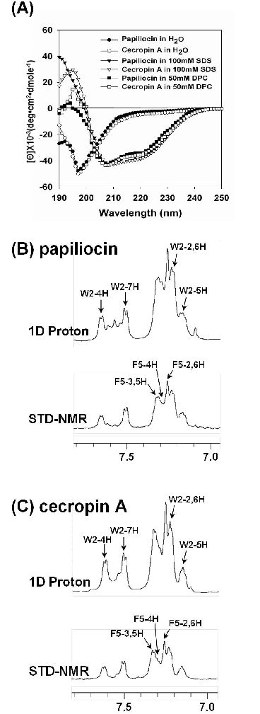 Cd Spectra And Std Nmr Spectra A Cd Spectra Of Peptides 50 μm Ph