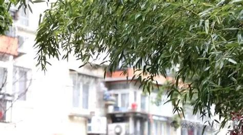 六旬阿姨再婚后竟想将86岁老母亲赶出家门法院判了