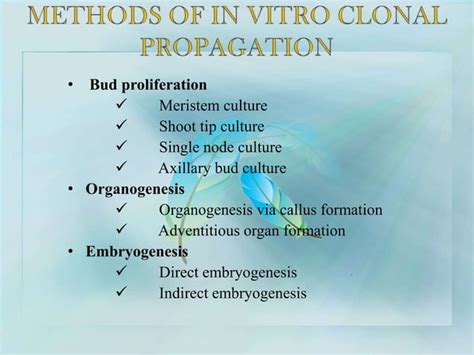 Clonal Propagation In Ornamental Plants Pptx Gardening Home And Garden