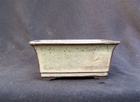 Miko Bonsai 2013
