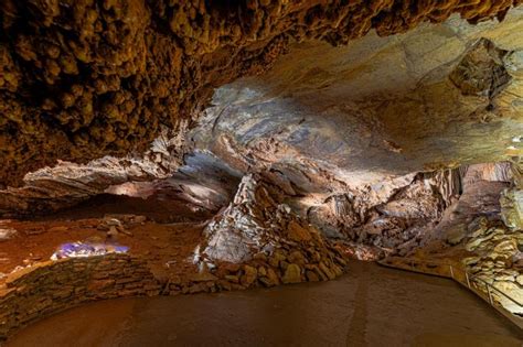 基因组研究揭示：欧洲早期现代人45万年前已与尼安德特人混血 化石网