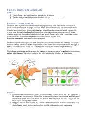 Flowers Fruits Seeds Lab Docx Flowers Fruits And Seeds Lab Goals Explore Flowers And