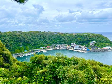 癒楽 伊豆大島