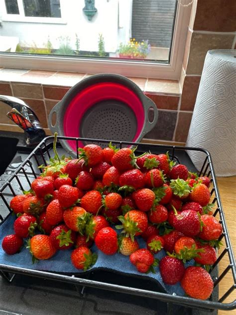 Makaton For Raspberry Good Morning Mmmmm Delicious 😋 Wetalkmakaton Makaton