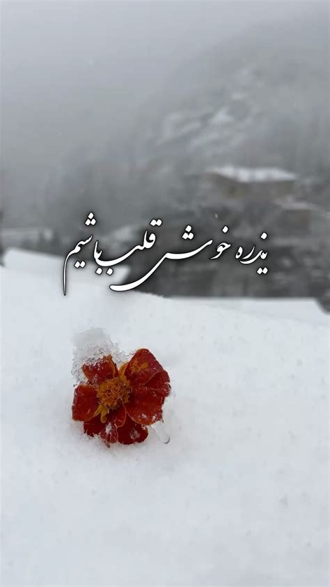 ‎جاودانگی موبایلگرافی طبیعتگرد‎ ‎ما خیالمون از این بابت راحته واسه
