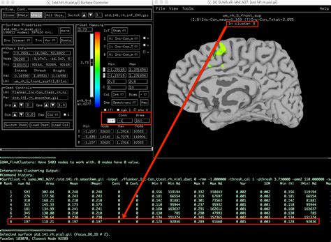 Suma Tutorial 4 Group Analysis — Andys Brain Book 1 0 Documentation