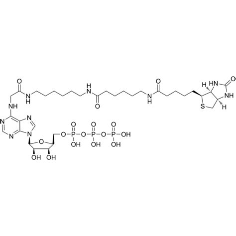 Bio 17 Atp Substrate Medchemexpress