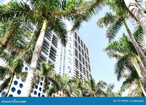 Edificio Moderno De La Ciudad De Miami Florida Estados Unidos Foto De