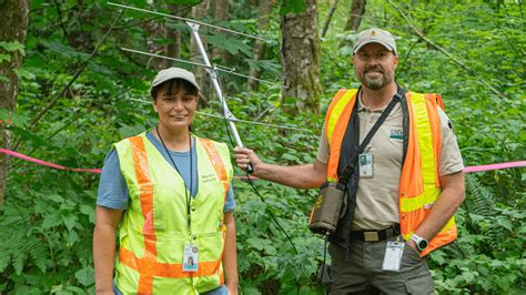 Plant Protection Today Ppq And Washington State Partners Get Ready For