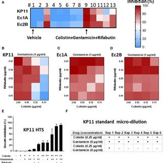 Real Time High Throughput Drug And Combination Testing Against Download Scientific Diagram