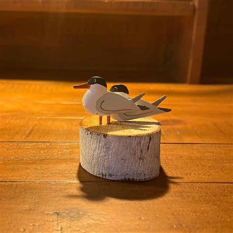 Small Common Terns On A Wooden Block Home Sweet Home