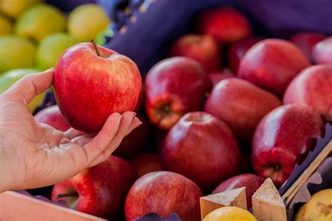 Transporte De Frutas Cuidados A Serem Observados