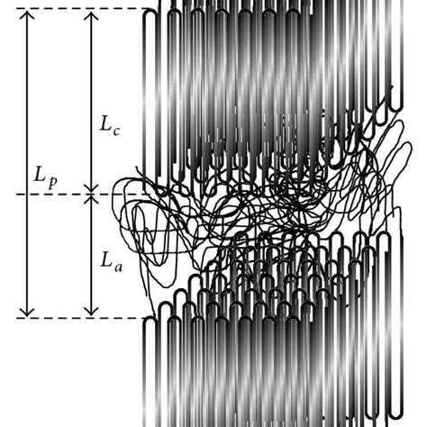 Schematic Representation Of The Ldpe Structure In Case Of A Viscous