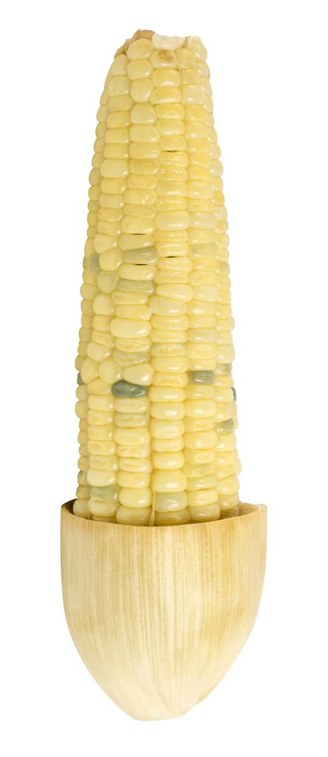 Single Ear Of Corn Isolated 13929325 Png