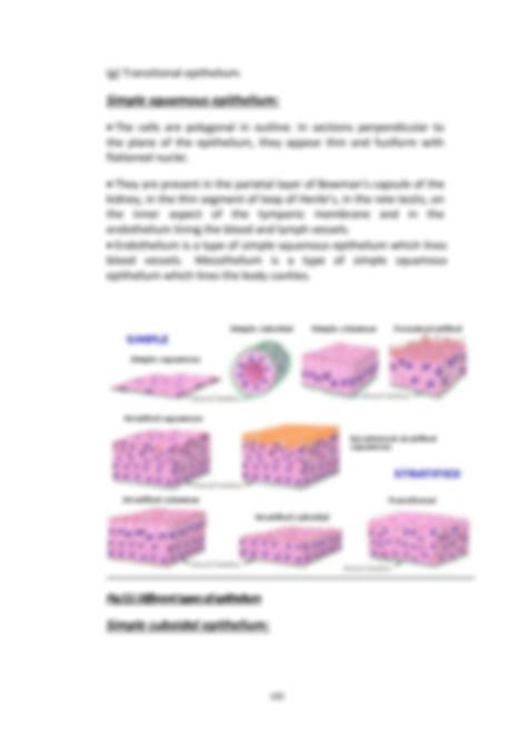 Solution Histology Notes Apical Cell Specializations Covering And