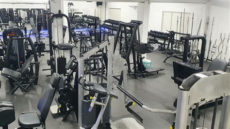 Polly Dance Academia Na Totalpass