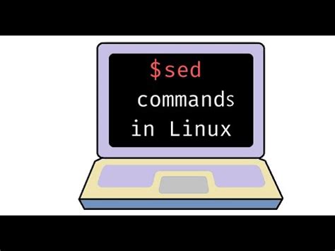 Tutorial 006 Unix SED Basic Commands Interview Questions Unix