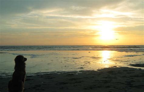 Playas De Iquique En Iquique 2 Opiniones Y 22 Fotos
