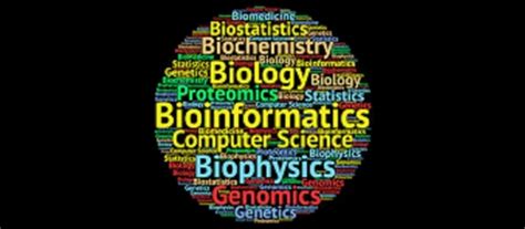 Bioinformatics Research Services At ₹ 10000 Month In Nagpur Id
