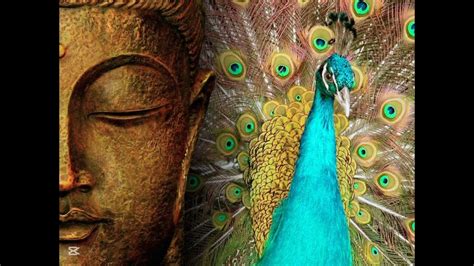 මහානුභාවසම්පන්න මෝර පිරිත සෑම දිනකම උදේ සවස ශ්වසනය කරන්න සෙතක් ශාන්තියක් උදාවේවා 🙏🙏 Youtube