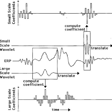 The Haar Scaling Function And Haar Wavelet And Their Associated