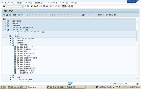 sap pp学习笔记01 pp模块的主数据 sap pp主数据 csdn博客